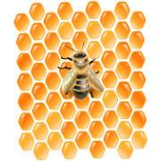 Beyond AI Slop: Why Professionals Need to build Custom AI Tools and why ...